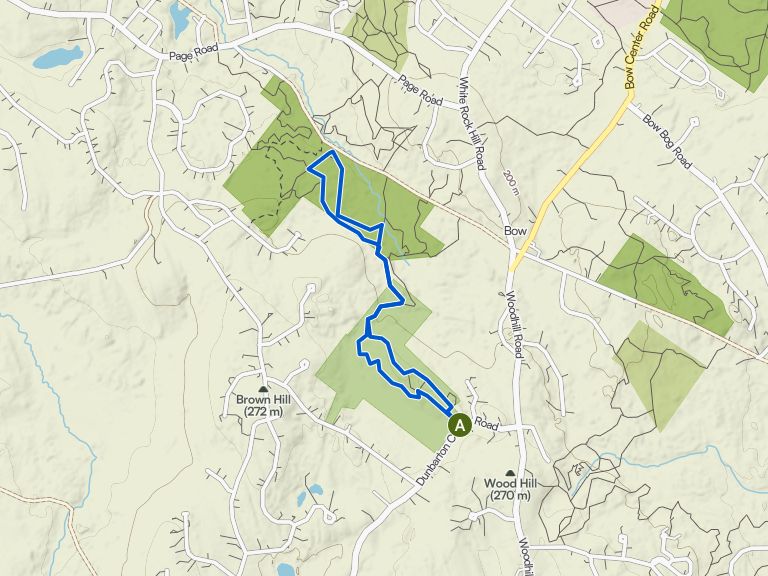 Hammond Nature Preserve & Walker Forest Schleife - Merrimack County ...